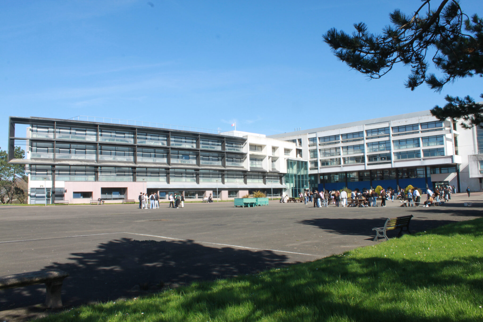 Tableau synthétique des enseignements du lycée – Lycée Augustin Fresnel